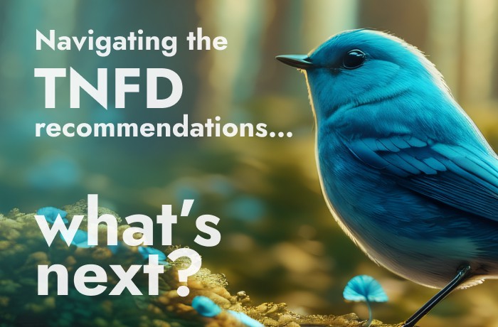 Navigating the TNFD recommendations… what’s next? - News & Insights - Fanda