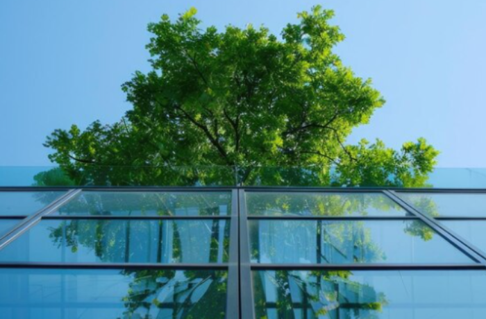 Driving ESG Innovation: Fanda’s Impactful Presentation at World ESG ...